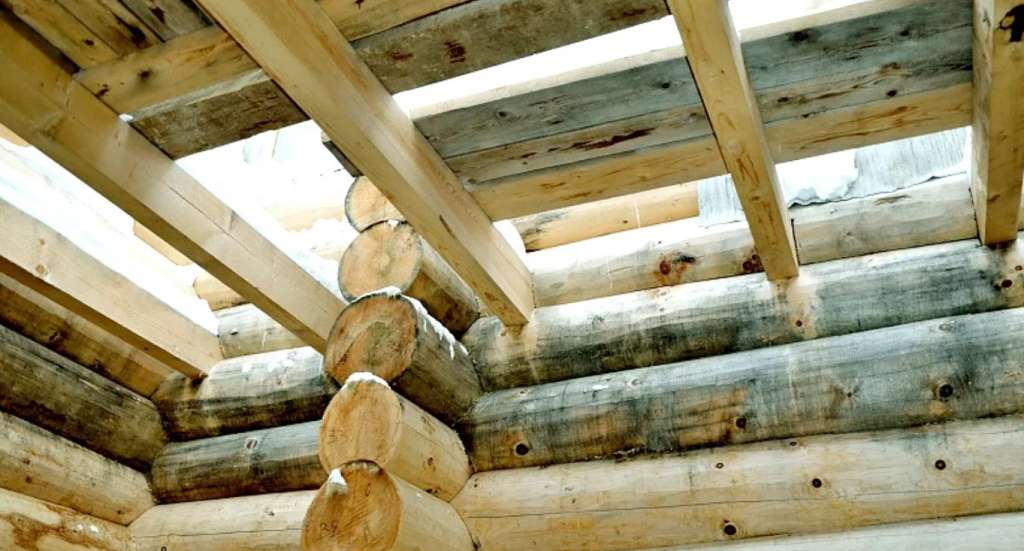 Обработка сруба: защита от гниения, огня и насекомых | Полное руководство